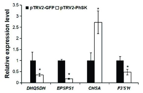 Effects Of Ptrv2 Phsk Treatment On The Expression Of Phdhqsdh
