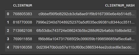 anonymise sensitive data in a pandas dataframe column with hashlib
