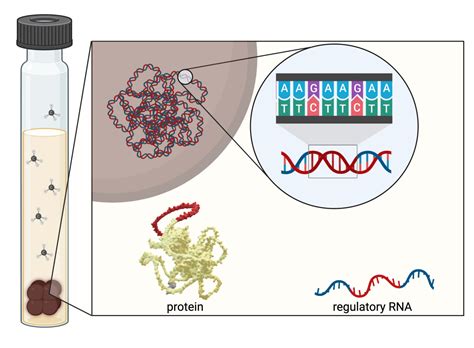 Methanogenic Archaea Environmental Microbiology Eth Zurich