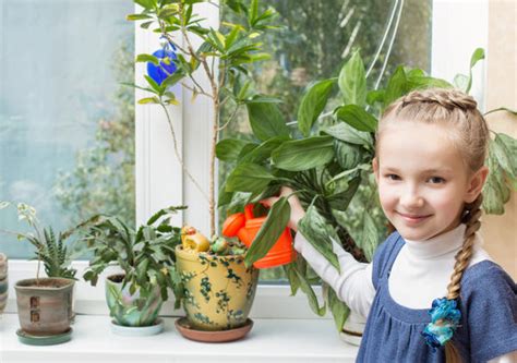 12 лучших растений для детской комнаты | Fit.ru