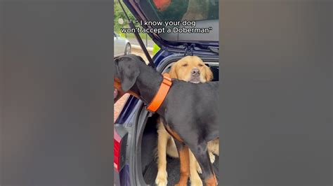 You Guessed Wrong 🤪 Youtube