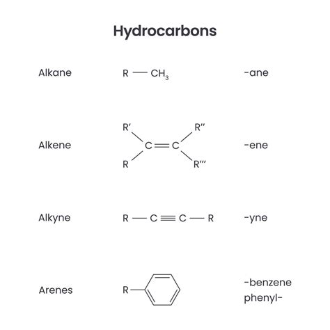 Hydrocarbon Functional Groups Biochemistry Science Vector Infographic