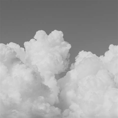 Match Made In Heaven 10 Best Tool Combos Wall Tools Blog