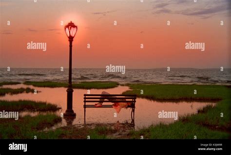 Shortbus Sook Yin Lee Shortbus Stock Photo Alamy