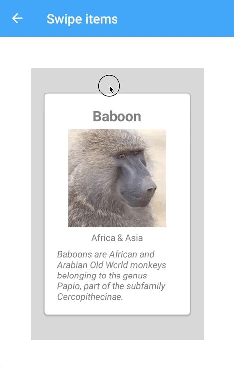 Bug Ios Android Swipeitems Selection On Carouselview Incorrect Issue Xamarin