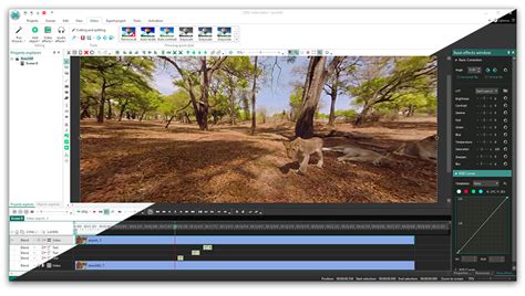 the new version of vsdc takes color correction to the next level