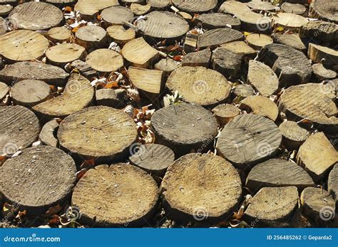 Background Of Sawn Wooden Slab Sawn Boards Sawn Logs Receding Into