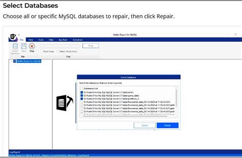 How To Repair A Corrupted Mariadb Database A Comprehensive Guide Javatechonline