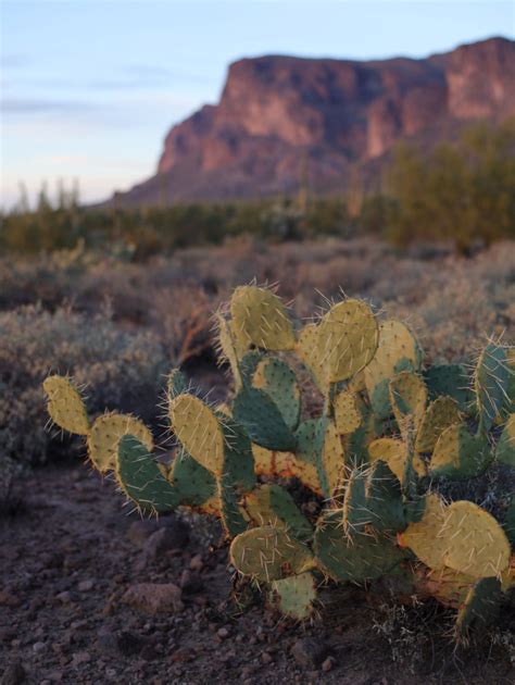 Eric Heaton Art Intersection