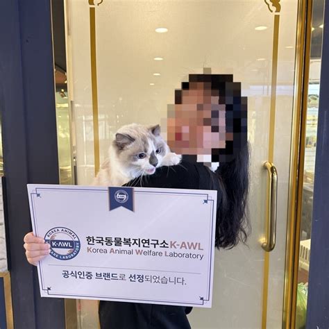 렉돌 쿠키 말티즈전문보호소 말티푸전문보호소 푸들전문보호소 먼치킨전문보호소 랙돌전문보호소 브리티쉬숏헤어전문보호소 스코티쉬폴드전문보호소 러시안블루전문보호소 강아지전문보호소