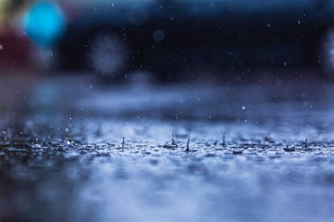 22100 Rainwater Harvesting Fotos De Stock Imagens E Fotos Royalty
