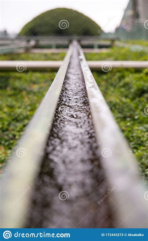 Decorative Lawn Irrigation System Of The Gutter Type Royalty Free