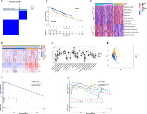 Patterns Of Hox And Biological Characteristics Of Each Pattern A Download Scientific Diagram