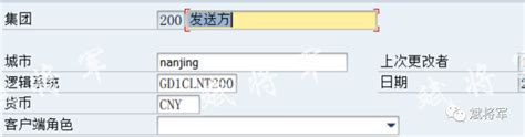 自定义idoc配置 Csdn博客 自定义idoc配置 Csdn博客