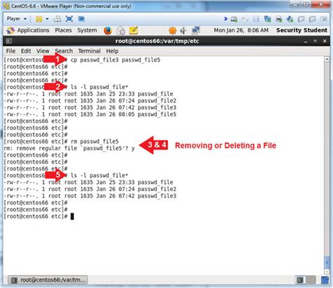 Centos 66 Lesson 6 Basic Whoami Ls Cat More Mkdir Cp Mv Rm