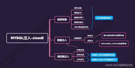 网络安全 Web 漏洞 Mysql 注入mysql网页注入 Csdn博客