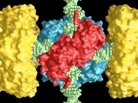 Fpga Acceleration Of Molecular Dynamics Simulation Namd