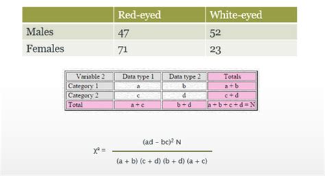 Normality Testing Distribution Fitting Contingency Tables Flashcards