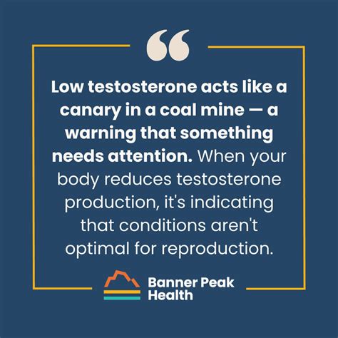 Unlock Your Potential How To Naturally Boost Testosterone Levels