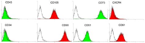 Fluorescence Activated Cell Sorting Facs Analysis Of Mscs Passage 3