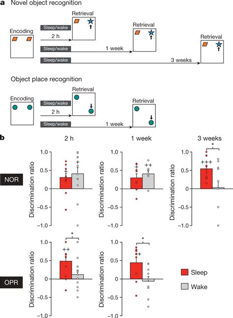 Effects Of Post Encoding Sleep Versus Wakefulness On Memory In The Nor