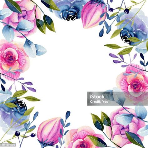 수채화 핑크와 파란색 장미와 모란 흰색 배경에 손으로 그린 카드 템플릿 0명에 대한 스톡 벡터 아트 및 기타 이미지 0명 꽃 나무 꽃 식물 Istock