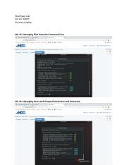 Final Exam Lab CIS 137 Docx Final Exam Lab CIS 137 10099 Vivianna Castillo Lab 15 Managing