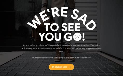 Survey Introduction Examples Tips That Work Like Magic