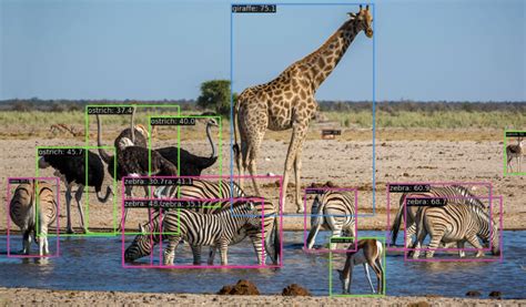 【开放词汇检测】基于mmdetection的mm Grounding Dino实战 Csdn博客