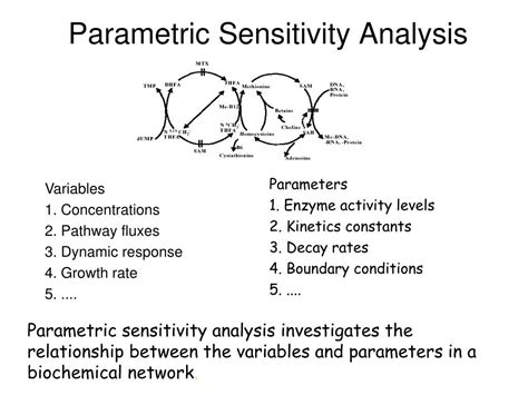 Ppt Local Parametric Sensitivity Analysis Amath 882 Lecture 4 Jan 17