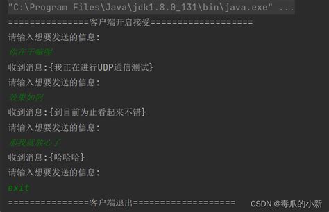 Socket通信讲解及cs结构实现udp协议通信c Socket Udp Csdn博客