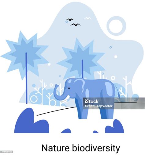 자연 생물 다양성은 지구상의 생명체의 다양성입니다 세계 환경의 날 다양한 종 0명에 대한 스톡 벡터 아트 및 기타 이미지 0명 개념 균형 Istock
