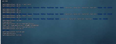 黑马linux学习记录——cp复制文件、文件夹，mv移动文件、文件夹，rm删除文件、文件夹 Csdn博客