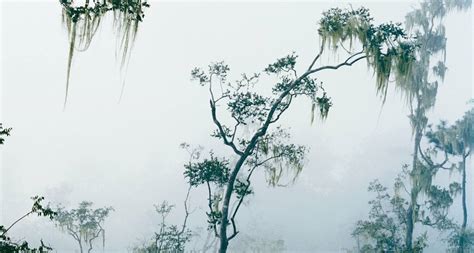 Das Ausstellungsjahr Im Arp Museum Romantik Und Utopia Bilden Schwerpunkte