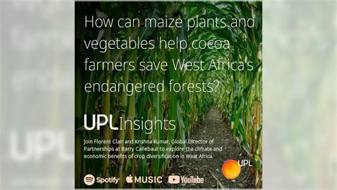 Upl Insights Podcast Maize Innovations For Sustainable Maize Farming