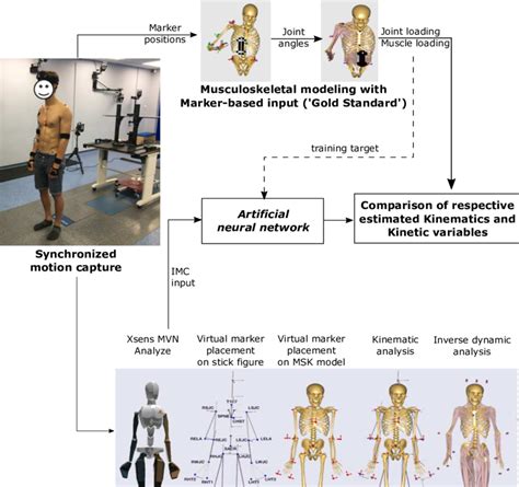 Pipeline For Machine Learning For Musculoskeletal Modeling Of The Upper