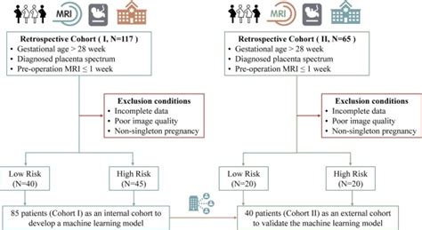 Development And Validation Of An Interpretable Machine Learning Model For Predicting Adverse