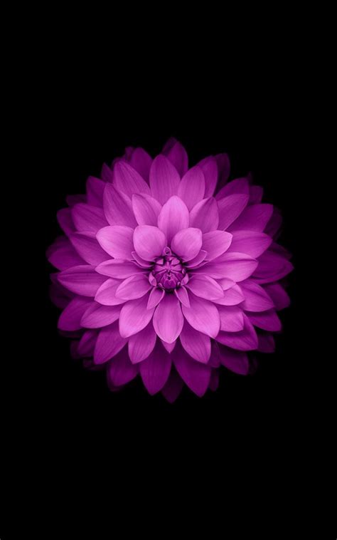 Lenovo Tab M10 Wallpapers HD