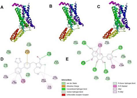 Representation Of The Interaction Of Ligands With The Angiotensin At1
