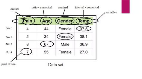 Introduction To Statistics Basic Concepts Pptx Science