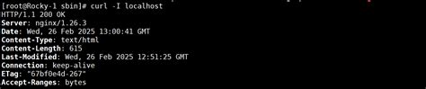 Nginx 平滑升级回滚nginx1263 Csdn博客