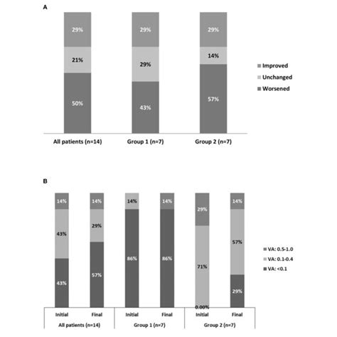 Fourteen Eyes With Documented Initial Vs Final Visual Acuity Group Download Scientific