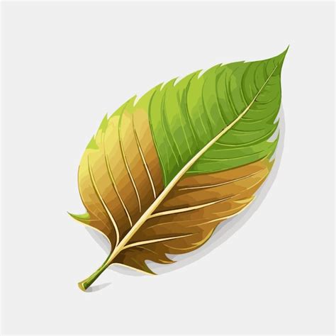 Premium Vector Leaf Background Vector