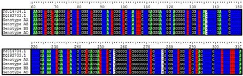 Alignment Of Nucleotide Sequences Showing Evidence For The Presence Of Download Scientific