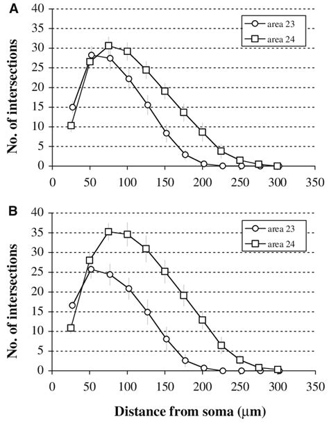 Graphs Of The Branching Patterns Of Basal Dendritic Arbours Of Layer