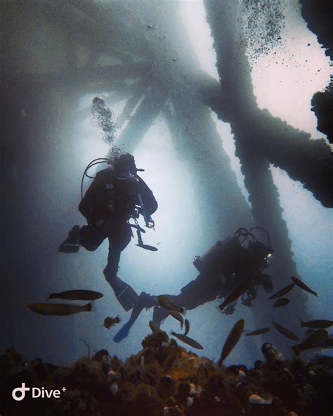 03 23 24 Giant Stride Dive Boat Oil Rigs Advanced Divers Only In 2 Deep Diving Inc