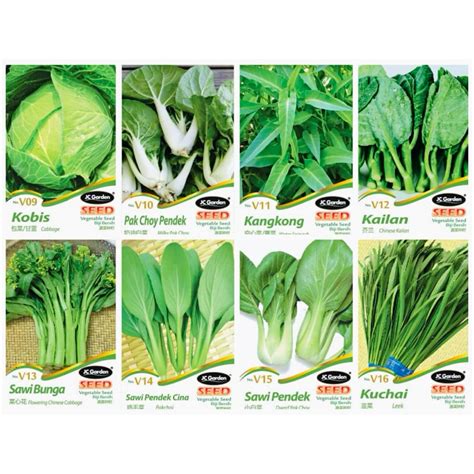 Jc Garden Vegetable Seed 1 Pcs Shopee Malaysia