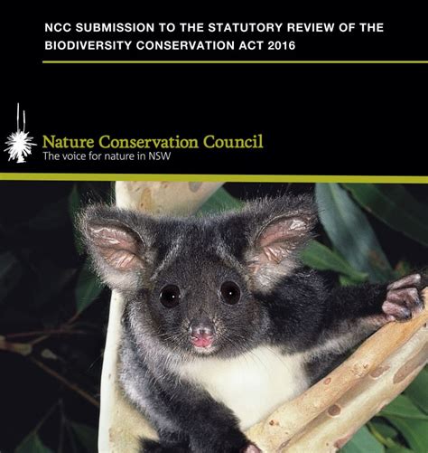 Nature Conservation Council Of Nsw Submission On The 5 Year Statutory