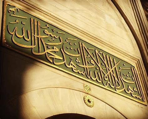 Ahmed Amasha On Tumblr