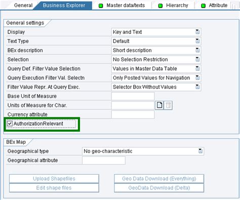 sap bi sap bi 7 0 authorization part 1 infoobjects level authorization